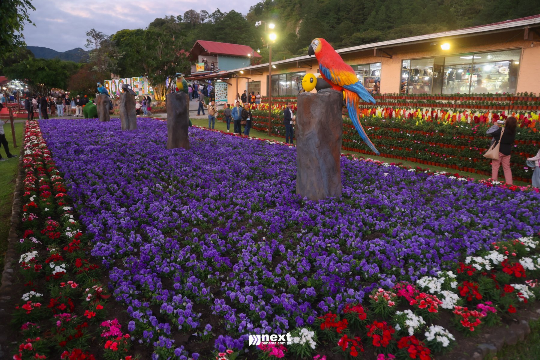 53a @FeriaDeBoquete INAUGURACIÓN 2026 | NextPanama